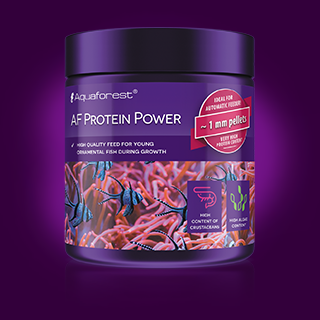 AF Protein Power - 120g – ReefMarketSG Pte. Ltd.